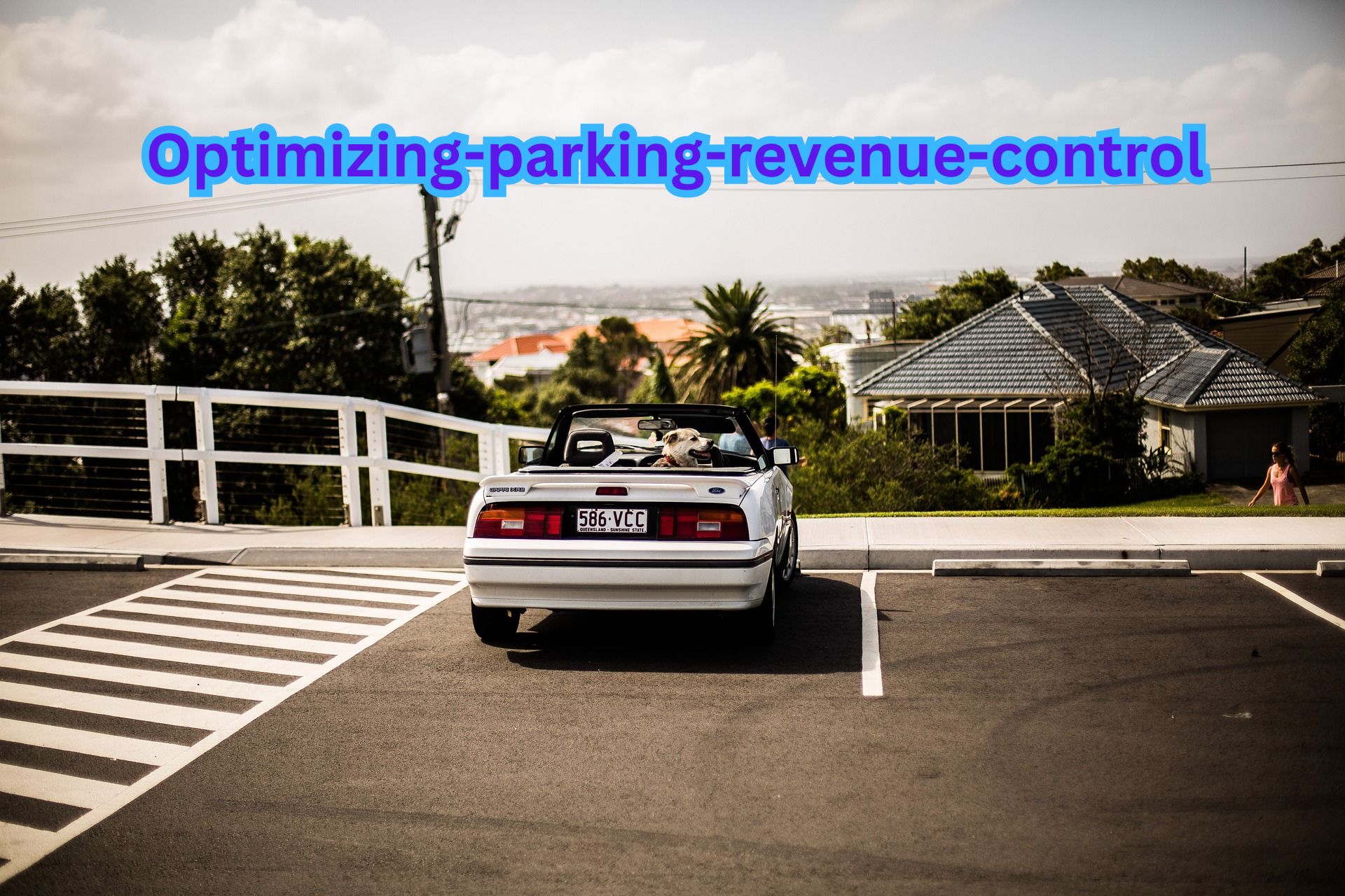 Optimizing Parking Revenue Control - Philadelphia Parking